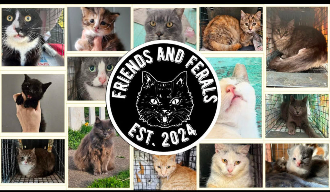 Friends and Ferals of Columbia County